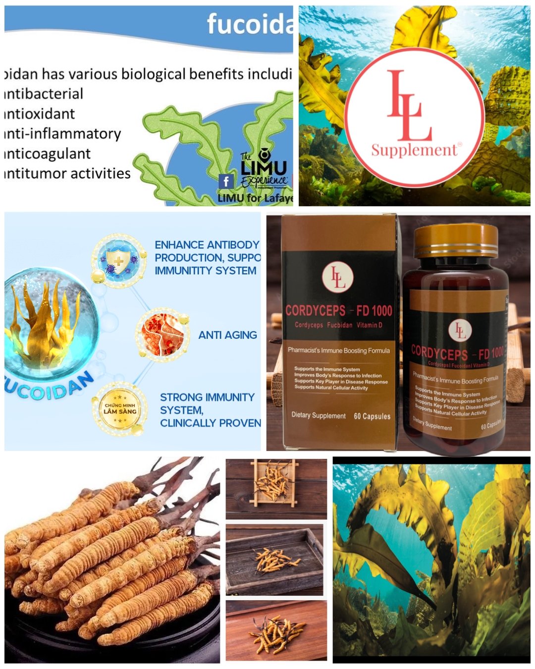 The anti-cancer effects of fucoidan: a review of both in vivo and in v ...