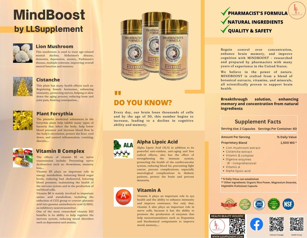 MindBoost Focus Memory Attention Supplement 60 Capsule-LL Supplement - LL Supplement