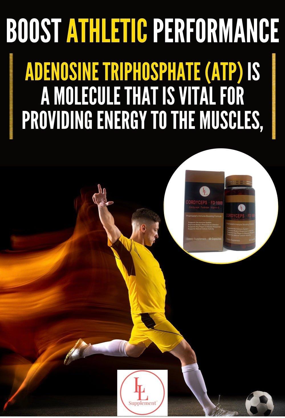 Cordyceps FD1000 Boost Immunity & Vitality with LL Supplement - LL ...